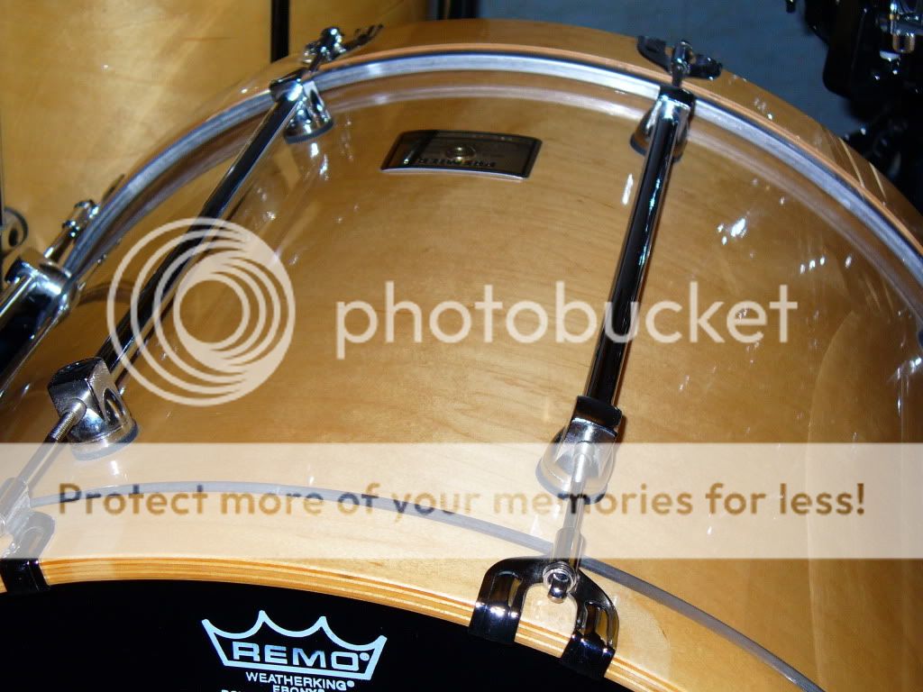 Premier Signia - Drums & Percussion - Harmony Central