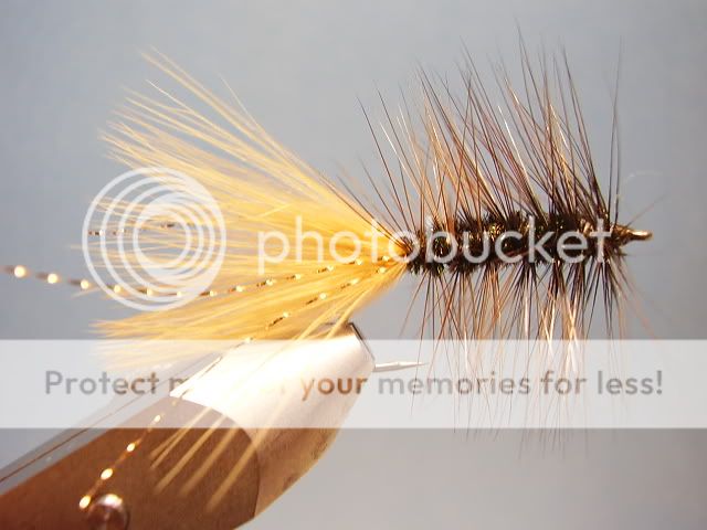 Welsh Witch? | Fly Fishing Forum