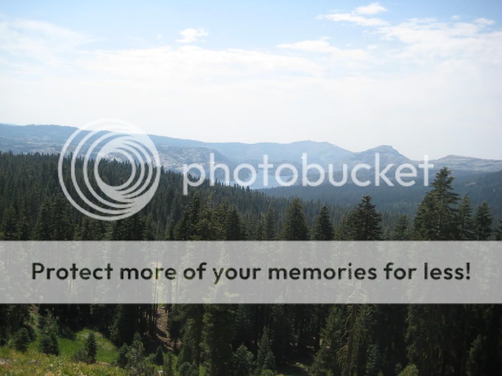 New Vid! Lotz O' Pix From Mr. Miyagi Run! | Grizzly Riders Forum