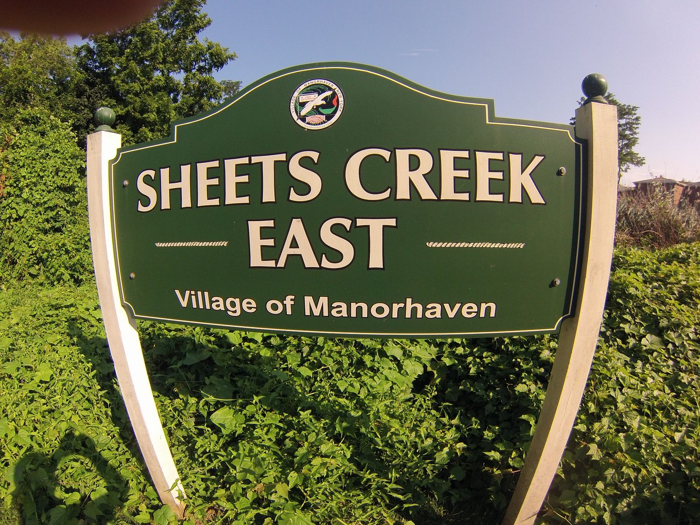 Collecting Stray Fish | Reef2Reef