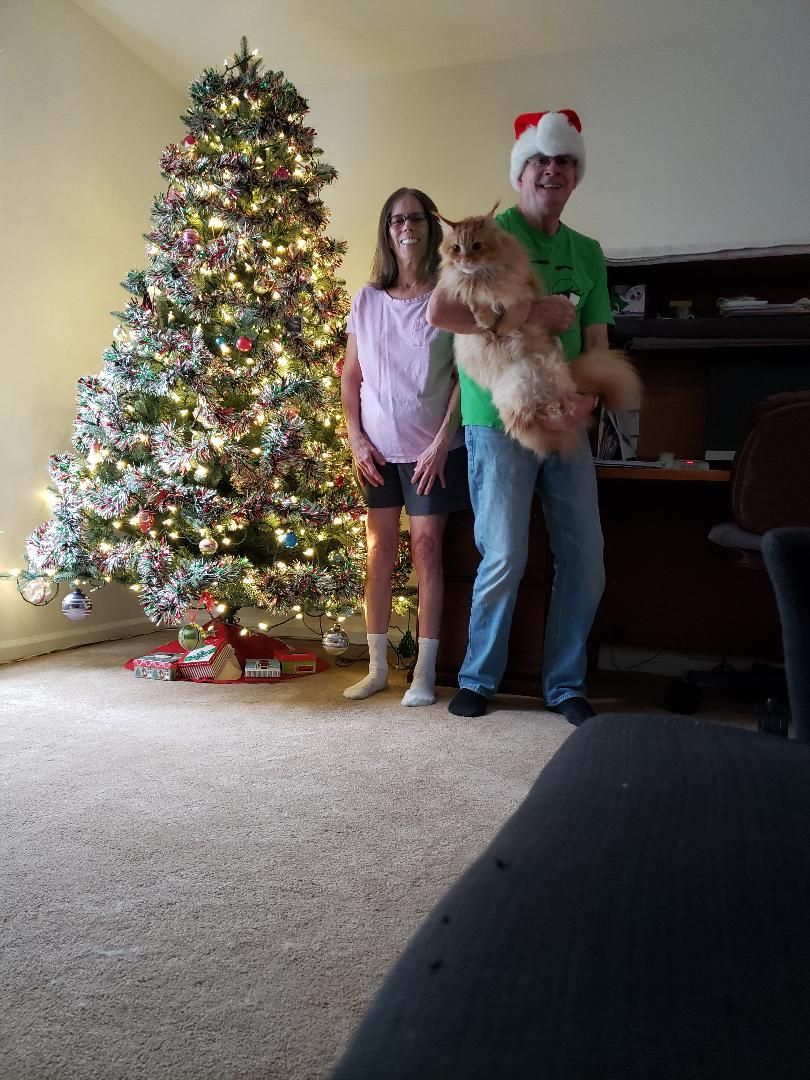 The Stonewater Cinema Build Thread | Page 161 | AVS Forum