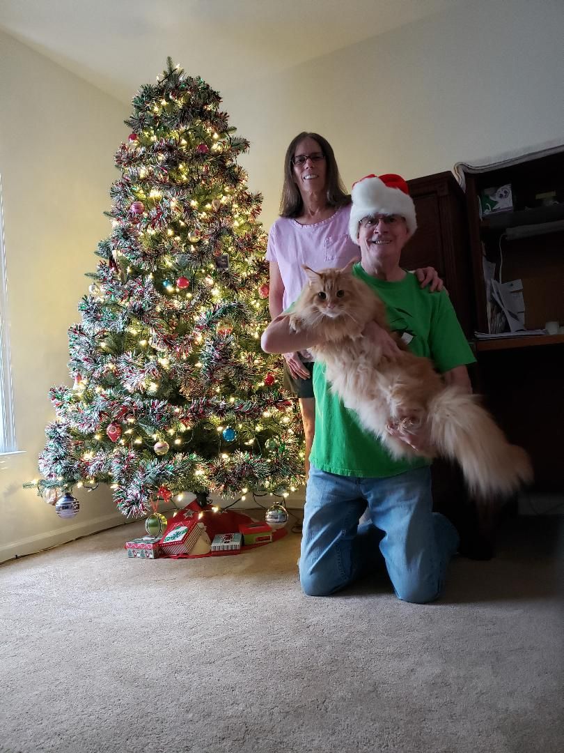 The Stonewater Cinema Build Thread | Page 161 | AVS Forum